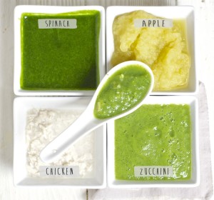 ZUCCHINI + APPLE + SPINACH + CHICKEN CHUNKY PUREE – Hangrybabies ...